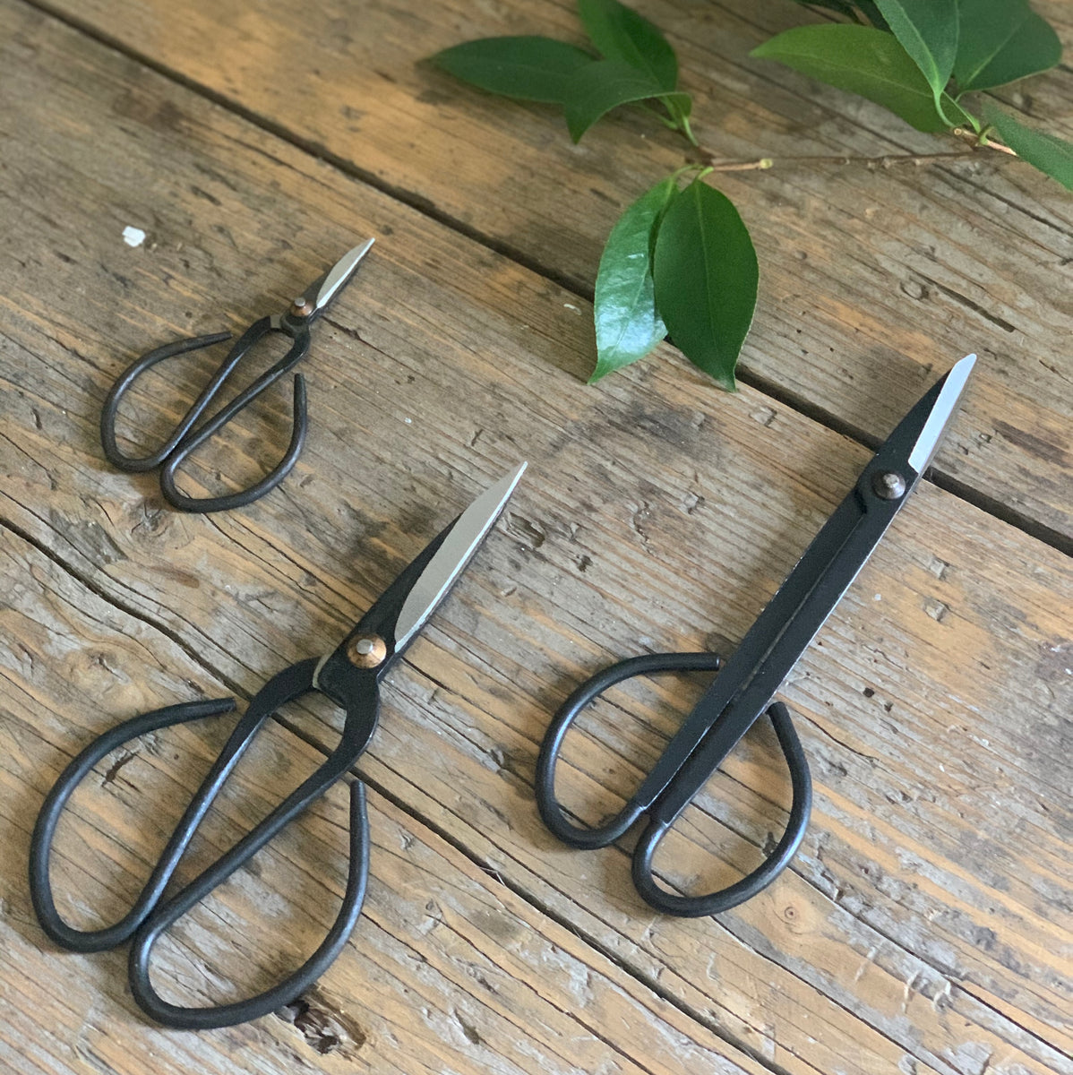 garden scissors set – Lauren Liess