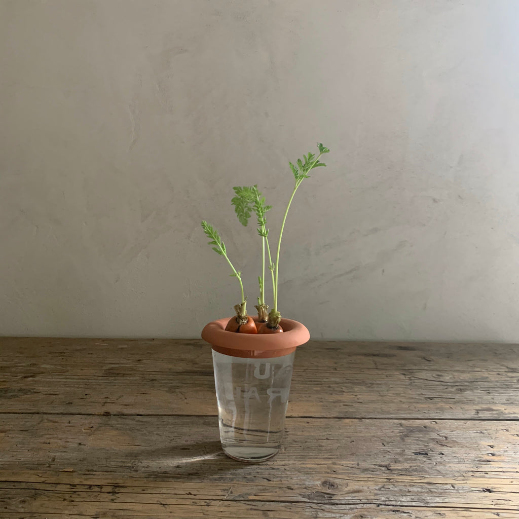 set of 3 terracotta seed sprouters – Lauren Liess